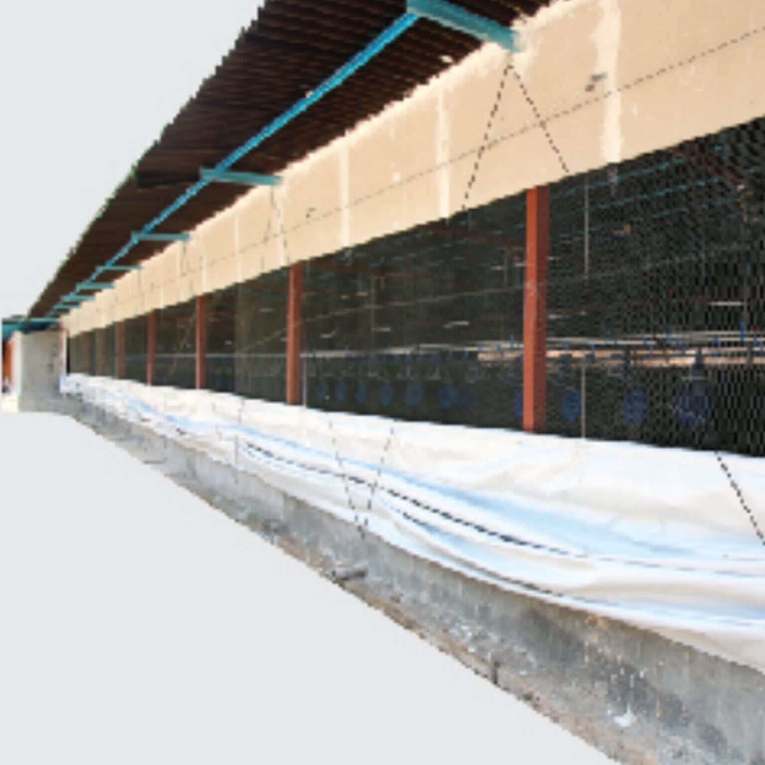 Cyclone | Complete broiler production system